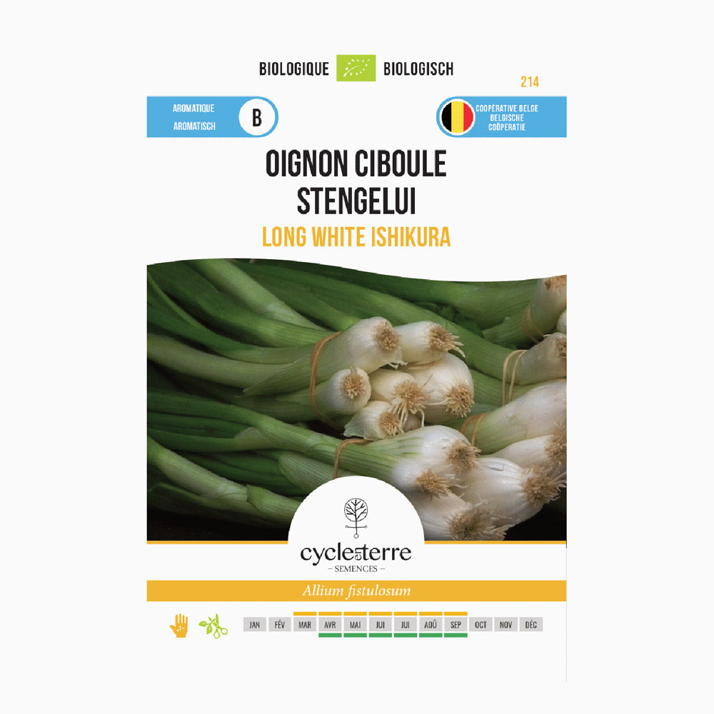 Stengelui 'Ishikura Long White' |Biologische Zaden, Bio | Cycle en ...