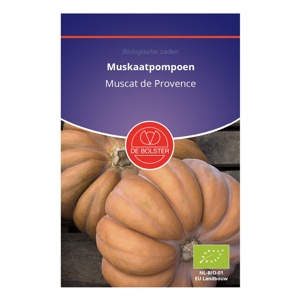 Pompoen Muskaat 'Muscat de Provence' | De Bolster (BIO ...