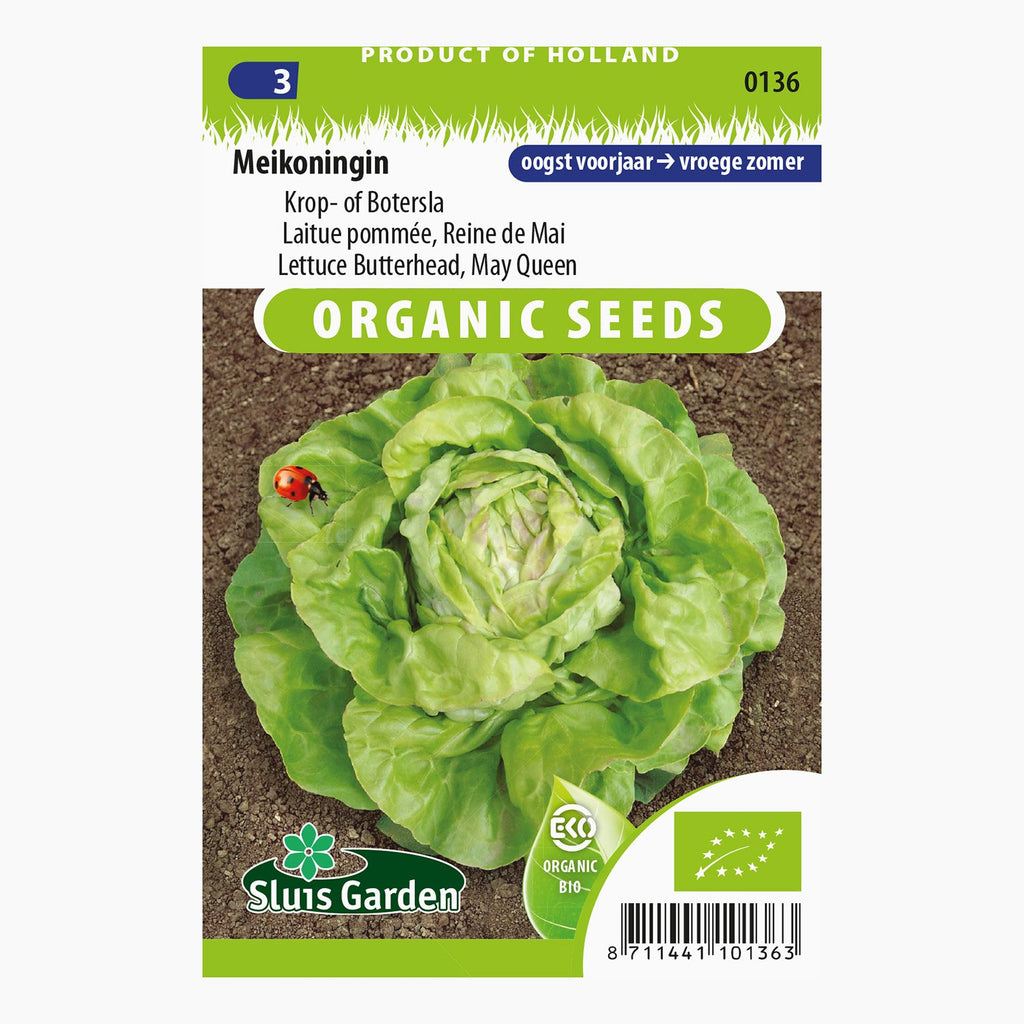Sla Meikoningin - Sluis Garden (BIO) | De Moestuinwinkel